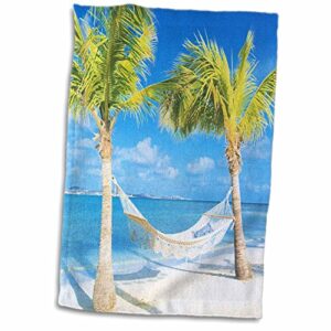 3D Rose Palm Trees and Hammock with Ocean TWL_35338_1 Towel, 15" x 22"