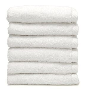 linum home textiles soft twist 100-percent turkish cotton washcloths, set of 6