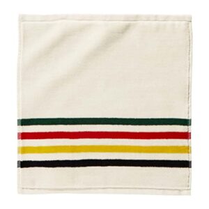 pendleton wash cloth, glacier