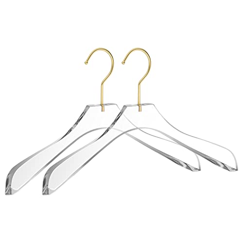 Quality Clear Acrylic Clothing Hangers – 2 Pack, Curved Stylish Clothes Hanger with Gold Hooks - Coat Hanger for Dress, Suit - Closet Organizer Adult Hangers - Heavy Duty Cloth Hangers (Gold Hook, 2)