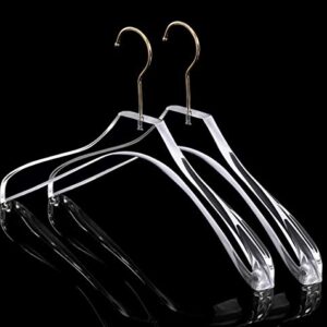 Quality Clear Acrylic Clothing Hangers – 2 Pack, Curved Stylish Clothes Hanger with Gold Hooks - Coat Hanger for Dress, Suit - Closet Organizer Adult Hangers - Heavy Duty Cloth Hangers (Gold Hook, 2)