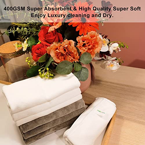 Easy Clean Nanoscale Cleaning Cloth,Fish Scale Microfiber Window & Glass Cleaning Cloth, Streak Free Mirrors Cars Stainless Steel,Lint Free Dish Cloth Polishing Towel, All-Purpose Home cleaning set