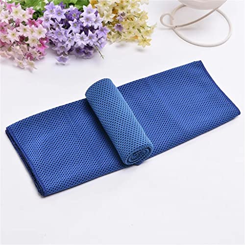 YTYZC 2pcs Cooling Ice Beach Towel Men and Women Gym Club Yoga Sports Cold Washcloth Running Football Basketball (Color : Blue, Size : 30x90cm)