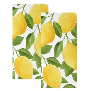 youjuner 2 piece soft hand towel, lemons decorative fingertip towels for bathroom, kitchen, yoga, gym, 29.5 x 13.5 inch (2 piece)