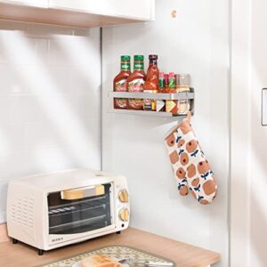 Yoniccal Magnetic Spice Rack for Rrefrigerator Magnet Fridge Spice Rack for Kitchen Home Organization and Storage