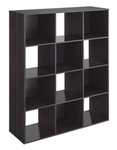 whitmor 12 cube organizer - espresso