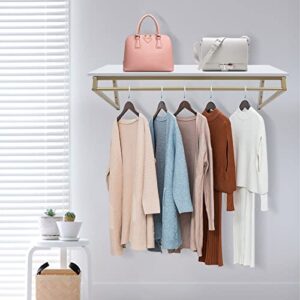 LYNICESHOP Clothes Rack with Top Shelf, Industrial Pipe Wall Mounted Garment Rack, Space-Saving Display Hanging Clothes Rack, Heavy Duty Detachable Multi-Purpose Hanging Rod for Closet Storage