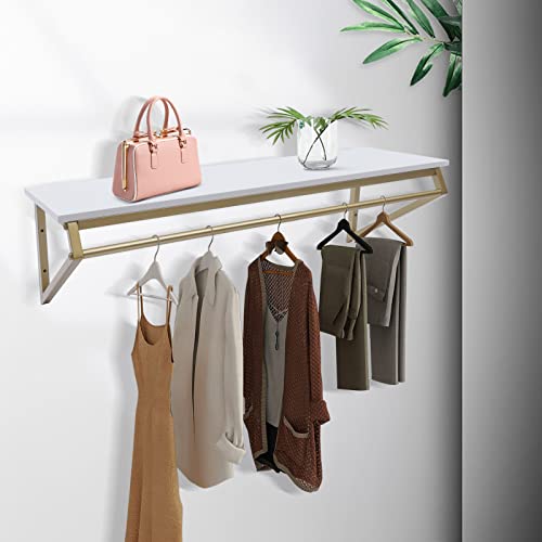 LYNICESHOP Clothes Rack with Top Shelf, Industrial Pipe Wall Mounted Garment Rack, Space-Saving Display Hanging Clothes Rack, Heavy Duty Detachable Multi-Purpose Hanging Rod for Closet Storage