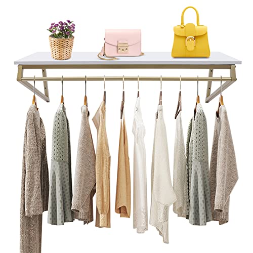 LYNICESHOP Clothes Rack with Top Shelf, Industrial Pipe Wall Mounted Garment Rack, Space-Saving Display Hanging Clothes Rack, Heavy Duty Detachable Multi-Purpose Hanging Rod for Closet Storage