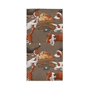 qugrl basset hound dogs hand towels for bathroom autumn harvest pumpkins small bath towel 16x30 in, decorative kitchen dish towels guest fingertip towel washcloth for spa gym sport