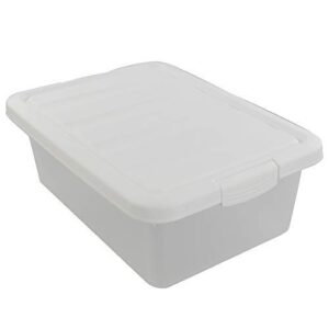 Cand Storage Bin with Lid 14 Quart, 2 Packs, Plastic Box for Organizing