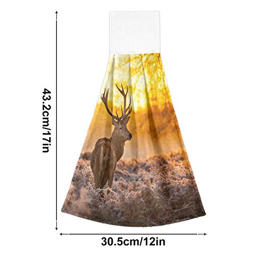 YYZZH Red Deer Antler in Morning Sun Woodland Kitchen Hand Towels with Hook & Loop Set of 2 Absorbent Bath Hand Towel Hanging Tie Towel