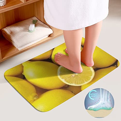 Habilboi Bathroom Mat Set 3pcs Non Slip Mat Lemon, Lemon Tree Bathroom Shower Mat with U-Shaped Contour Toilet Mat 16x24inch