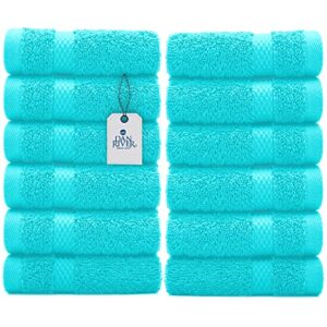 dan river 100% cotton face towels 12 pack - premium quality washcloths soft and highly absorbent towels for bathroom, spa, gym - quick dry essential for body and daily use 12x12 in, 600 gsm – aqua