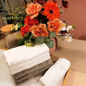 Easy Clean Nanoscale Cleaning Cloth,Fish Scale Microfiber Window & Glass Cleaning Cloth, Streak Free Mirrors Cars Stainless Steel,Lint Free Dish Cloth Polishing Towel, All-Purpose Home cleaning set