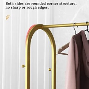 MAIKAILUN 2- layer Clothing Rack Gold,Modern Industrial Clothes Rack for hanging Clothes with Top Rod and Bottom Shelves, Multi-functional Heavy Duty Garment Rack Cloest Organizer and 6 Hooks (59")