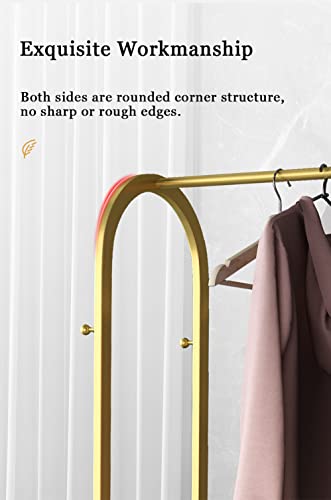 MAIKAILUN 2- layer Clothing Rack Gold,Modern Industrial Clothes Rack for hanging Clothes with Top Rod and Bottom Shelves, Multi-functional Heavy Duty Garment Rack Cloest Organizer and 6 Hooks (59")