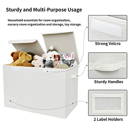 GRANNY SAYS Bundle of 1-Pack Shelf Organizer for Closet & 1-Pack Extra Large Rectangle Storage Bin