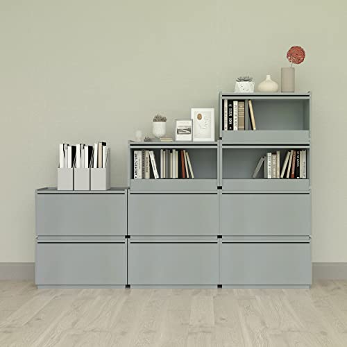 furtble Mini Dresser with Lift Up Door, Multifunctional Modern 2 Drawer Dresser, Small Bedside Tables, Nightstands for Bedroom, Storage Cabinet for Entryway, 2-Shelf Bookcase for Office, Grey