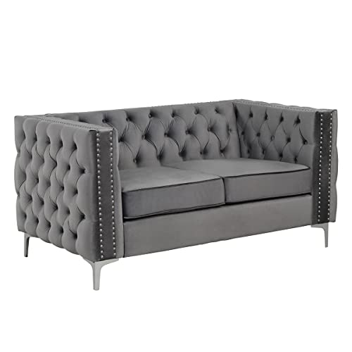 Morden Fort 61" Modern Loveseat for Living Room Furniture with Deep Dutch Velvet, Iron Legs - Grey