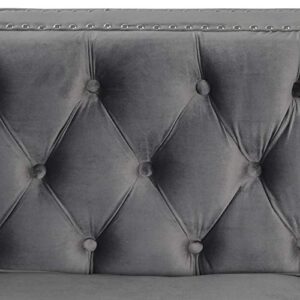 Morden Fort 61" Modern Loveseat for Living Room Furniture with Deep Dutch Velvet, Iron Legs - Grey