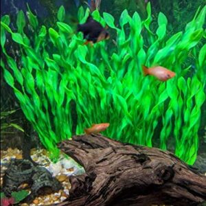 BEGONDIS 14 Pcs Artificial Green Seaweed Water Plants, Fish Tank Aquarium Decorations, Made of Soft Plastic