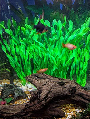 BEGONDIS 14 Pcs Artificial Green Seaweed Water Plants, Fish Tank Aquarium Decorations, Made of Soft Plastic