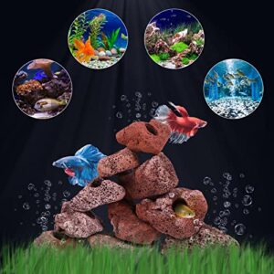 POPETPOP 10pcs Volcanic Rocks Ornament Plant Pot Ring for Aquarium Plants Aquatic Plant Fixed Ring for Aquarium Decoration Fish Tank Accessories