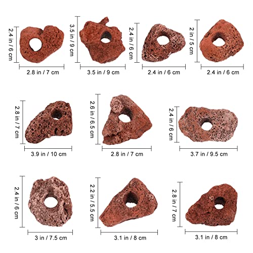 POPETPOP 10pcs Volcanic Rocks Ornament Plant Pot Ring for Aquarium Plants Aquatic Plant Fixed Ring for Aquarium Decoration Fish Tank Accessories