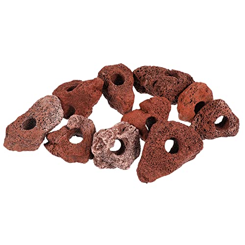 POPETPOP 10pcs Volcanic Rocks Ornament Plant Pot Ring for Aquarium Plants Aquatic Plant Fixed Ring for Aquarium Decoration Fish Tank Accessories