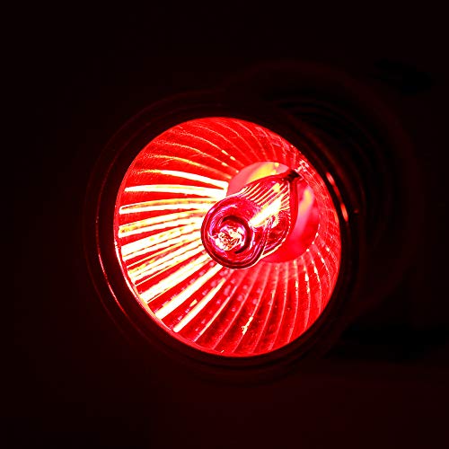 Hilitand Reptile Light Bulb,1Pc UVA UVB Reptile Heating Light Bulb Full Spectrum 2.0 Sunlight Lamp for Snake Turtle Pet (25W),Durable