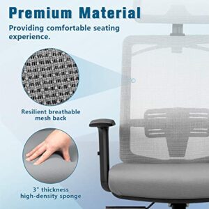 Furmax Ergonomic Office Chair, High Back Desk Chair with Adjustable Headrest, Lumbar Support and Armrests, Mesh Computer Chair with Clothes Hanger (Gray)