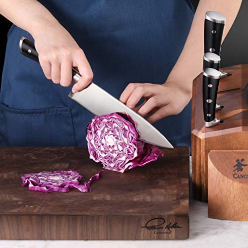 Cangshan H Series 1026160 German Steel Forged 10-Piece Knife Block Set