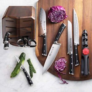 Cangshan H Series 1026160 German Steel Forged 10-Piece Knife Block Set