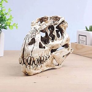 KODENG Tyrannosaur Skull T-Rex Skull Gifts Lifelike Resin Crafts Dinosaur Skull Fossil Teaching Skeleton Model Home Aquarium Decor (A)