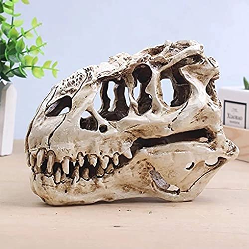 KODENG Tyrannosaur Skull T-Rex Skull Gifts Lifelike Resin Crafts Dinosaur Skull Fossil Teaching Skeleton Model Home Aquarium Decor (A)