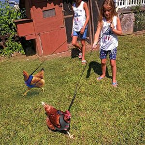 4 Pcs Adjustable Chicken Harness with Leash- 4 Styles Comfortable Hen Vest Breathable Mesh Chicken Training Harness and Leash for 2.5-3.6 Lb Duck Goose Hen Small Pets