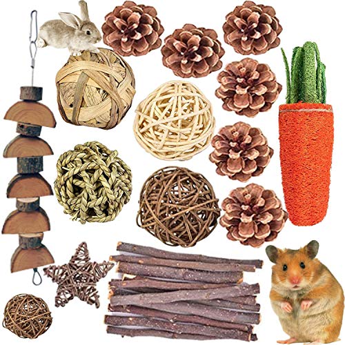 QHZHANG Hamster Chew Toys，24PCS Combined Chew Toys Molar Sticks Sweet Bamboo Apple Branch Molar Toy for Rabbits Pets Chinchilla Squirrel Gerbil Hamster Squirrel Guinea