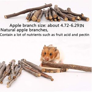 QHZHANG Hamster Chew Toys，24PCS Combined Chew Toys Molar Sticks Sweet Bamboo Apple Branch Molar Toy for Rabbits Pets Chinchilla Squirrel Gerbil Hamster Squirrel Guinea