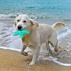 Carllg Dog Toys for Aggressive Chewers, Dog Teething Cleaning Toothbrush Toy, Durable Squeaky Interactive Starfish Puppy Toys for Small Medium Large Breed