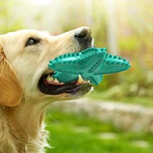 Carllg Dog Toys for Aggressive Chewers, Dog Teething Cleaning Toothbrush Toy, Durable Squeaky Interactive Starfish Puppy Toys for Small Medium Large Breed