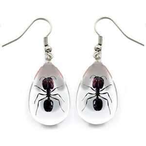 bicbugs bullet ant earrings