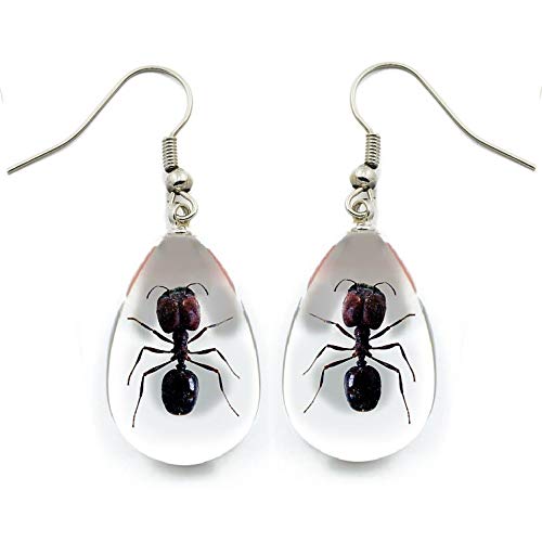 BicBugs Bullet ant Earrings