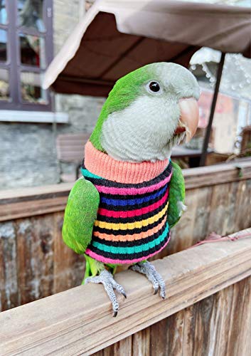 HEZHUO Parrot Bird Supplies, Light Flying Clothes, Warm and Comfortable, Tiger Skin, Green Cheek Parrot, Little Sun Parrot, Monk Parrot, Starling, mynah, Senegal Parrot, Mini Macaw Sweater (4XL)