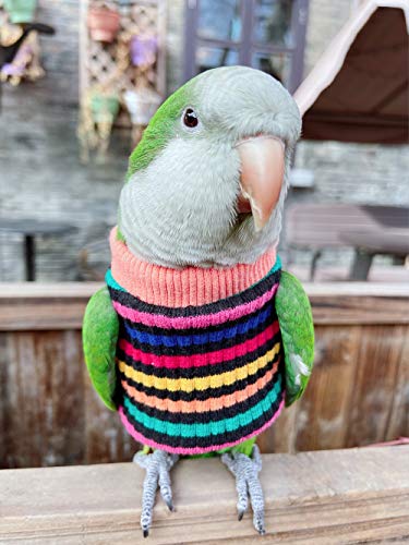 HEZHUO Parrot Bird Supplies, Light Flying Clothes, Warm and Comfortable, Tiger Skin, Green Cheek Parrot, Little Sun Parrot, Monk Parrot, Starling, mynah, Senegal Parrot, Mini Macaw Sweater (4XL)