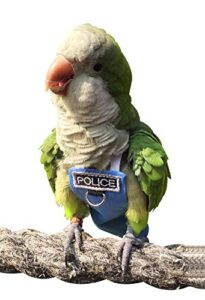 hezhuo bird clothes parrot diapers bird flight suits, reusable waterproof diapers pet bird supplies poli (m)