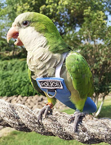 HEZHUO Bird Clothes Parrot Diapers Bird Flight Suits, Reusable Waterproof Diapers pet Bird Supplies Poli (M)