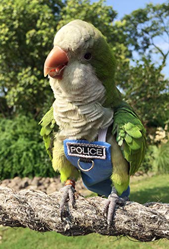 HEZHUO Bird Clothes Parrot Diapers Bird Flight Suits, Reusable Waterproof Diapers pet Bird Supplies Poli (M)