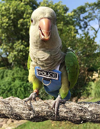 HEZHUO Bird Clothes Parrot Diapers Bird Flight Suits, Reusable Waterproof Diapers pet Bird Supplies Poli (M)