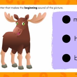 Educational Insights Hot Dots Jr. Let's Master Kindergarten Reading, Ages 5 and Up, (100 Self-Checking Lessons) & Hot Dots Jr. Beginning Phonics Card Set